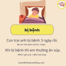 Learn Vietnamese vocabulary with examples and pictures (stay updated ...
