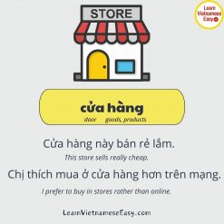 Learn Vietnamese vocabulary with examples and pictures (stay updated ...