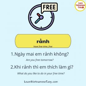 Learn Vietnamese vocabulary with examples and pictures (stay updated ...