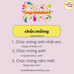 Learn Vietnamese vocabulary with examples and pictures (stay updated ...